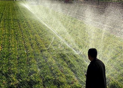 陕西大荔小麦抢抓农时灌溉忙 人民图片网