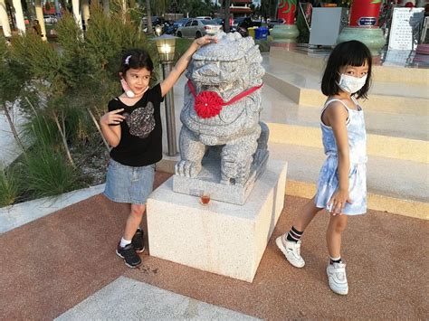 Tea In The Ancient World Aran Tea Thai Assam Compared To An Assam