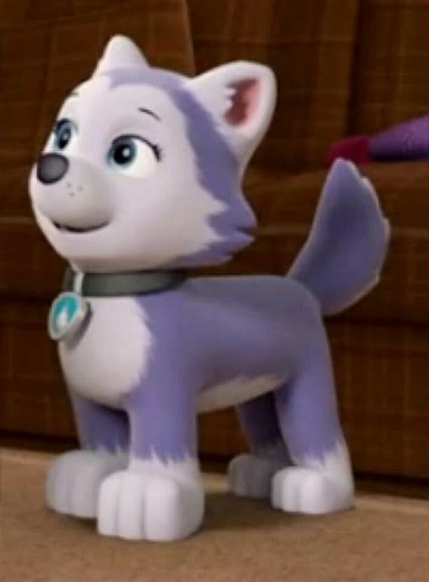 Image Everest No Hat Paw Patrol Wiki Fandom Powered By Wikia