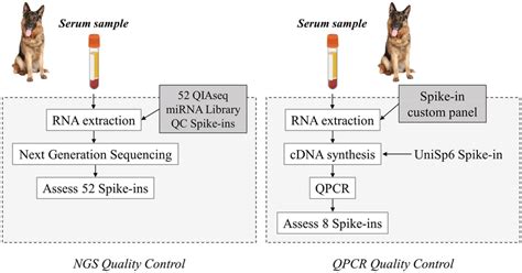 Quality Control QC Workflow The NGS QC Left Panel Was Performed Download Scientific