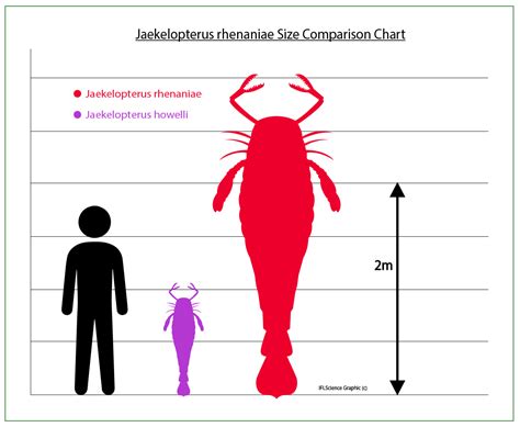 Prehistoric Scorpion Size