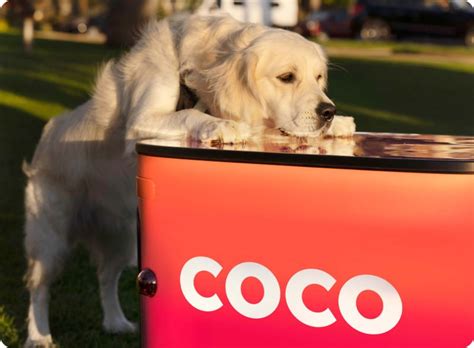 xberry randd house on linkedin innovative robotic xberry