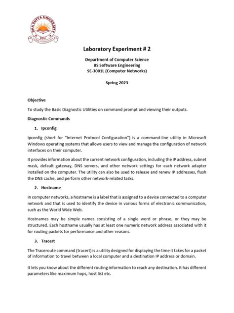 Lab 2 Network Diagnostics Dsu Pdf Computer Network Domain