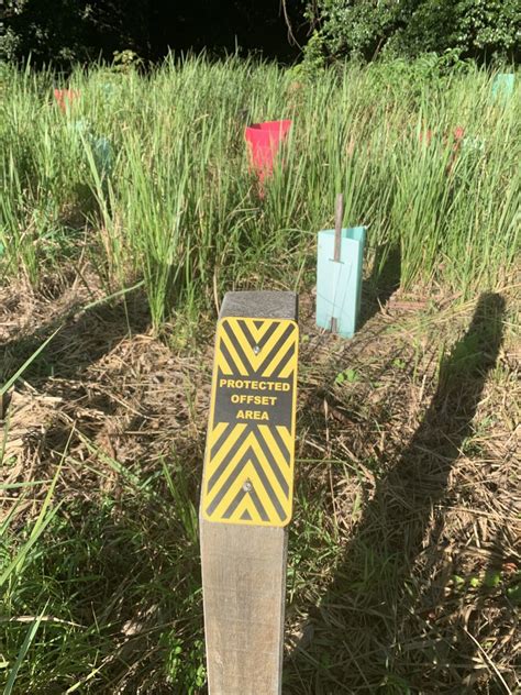 Offset Planting And Management Landscape Conservation