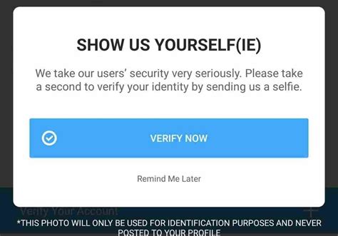 How To Bypass Bumble Photo Verification