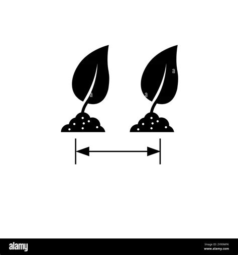 Proper Planting Spacing Between Plants Solid Flat Vector Icon Isolated