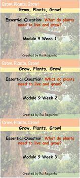 HMH Into Reading St Grade Complete Module Weeks Bundle By MrReguinho