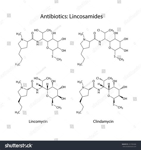 Lincosamides Chemical Structures Lincomycin Clindamycin Antibiotics Stock Illustration 231783406
