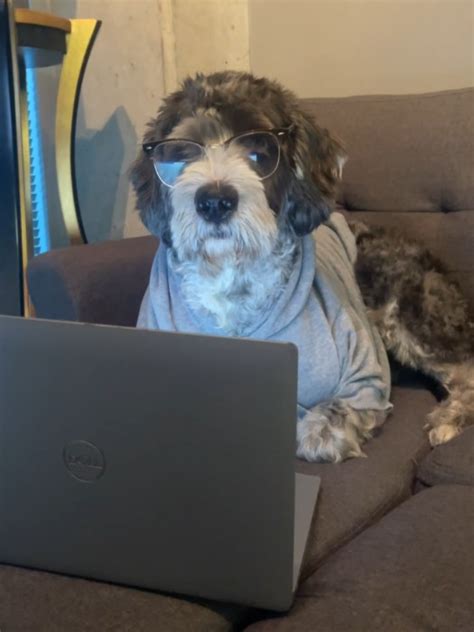 Amitech Solutions On Linkedin Workforcetransformation Rpa