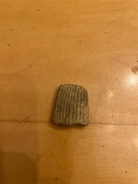 Could You Help Me Identify This R Fossils