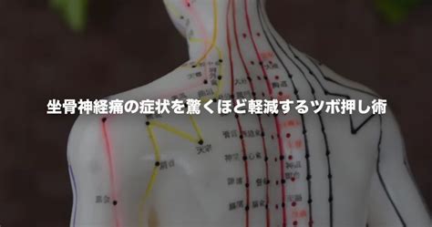 坐骨神経痛の症状を驚くほど軽減するツボ押し術 場所と手順を徹底解説 逗子市の桜山鍼灸整体整骨院
