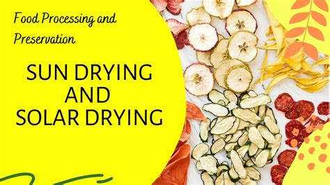 Preservation Of Fruits And Vegetables Using Drying Method At Shirl Wright Blog