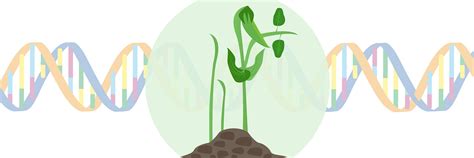 Inheritance 101 Understanding The Basics Of Oop By Semih Biygit Medium