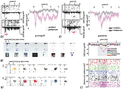 Abstract Semantic Representations And Their Role In Episodic Retrieval