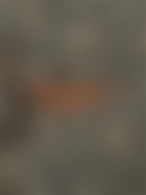 Imx模组芯片 抖音