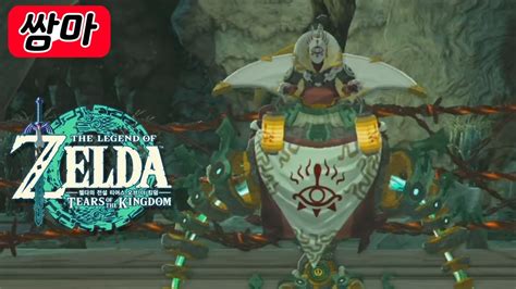 지저에 숨어있는 코가님을 찾고 이가단 씨를 말리자 젤다의 전설 왕국의 눈물 37 Youtube