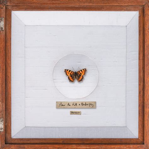 Farma G ‘how To Kill A Butterfly Out Now Official Website Of High Focus Records