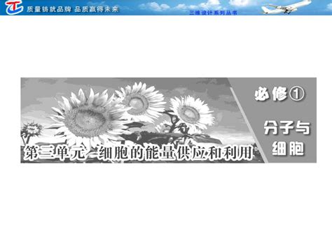 必修① 第三单元 第一讲 酶与atpword文档在线阅读与下载无忧文档