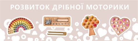 Розвиток дрібної моторики Монтессорі Іграшки для Дітей Міжпівкульні