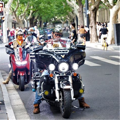 机车骑士武康路一瞥 潇洒酷逼的机车骑士给本是风情万种的网红地武康路添了 摩托车社区 易车社区