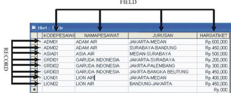 Basis Data