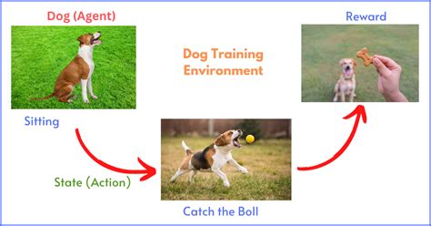Ai Ml Reinforcement Learning