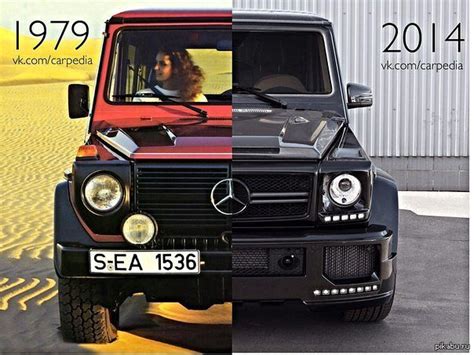 Эволюция | Пикабу