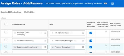 Configuring Workday Security And Role Based Permissions