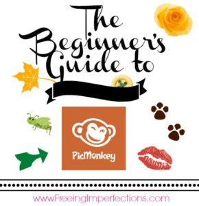 Picmonkey Tutorials Tips And Projects