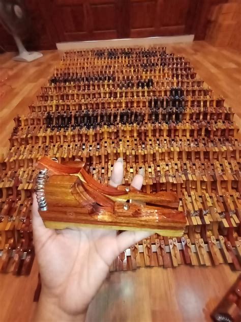 พะยูงสร้างตัว หงมู่101 ต้นกล้าไม้ฮวงหัวลี่ ขึ้นทะเบียนกับกรมวิชาการเกษตร Added A New Photo