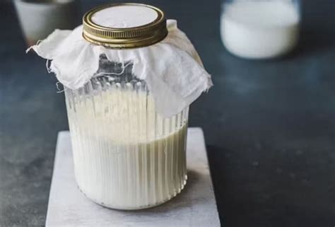 ექიმა სტებნიცკაიამ დაასახელა პრობიოტიკების შემცველი პროდუქტები რომლებიც სასარგებლოა