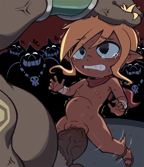 Average Hanzo Moblin Tetra Nintendo The Legend Of Zelda The Legend Of Zelda The Wind Waker