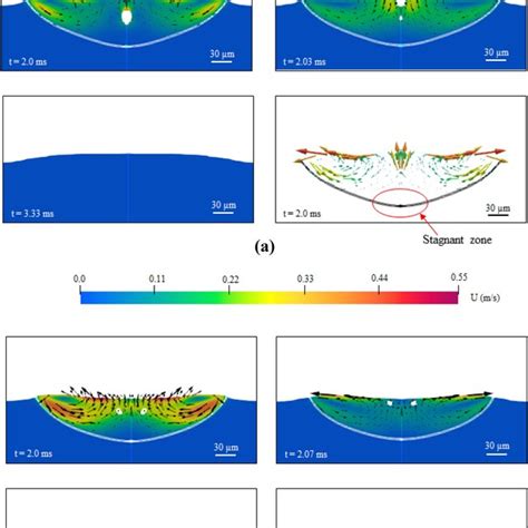 Evolution Of Velocity Field And Bubble Formation In The Melt Pool Download Scientific Diagram