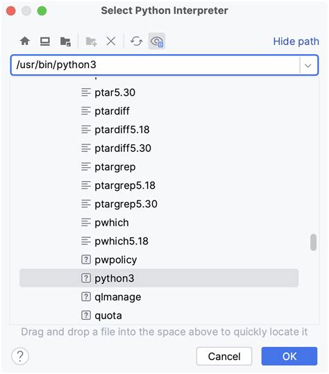 配置 Python 解释器 Clion 文档