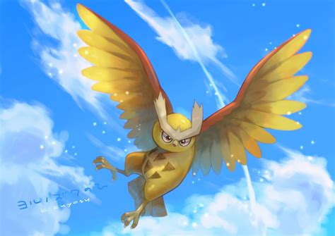 Noctowl Pokemon Drawn By Kikuyoshi Tracco Danbooru