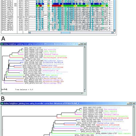 The Belvu Multiple Sequence Alignment Viewer Belvu Is A Multiple Download Scientific Diagram