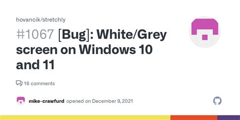 Bug Whitegrey Screen On Windows 10 And 11 · Issue 1067 · Hovancik