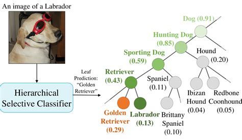 Hierarchical Selective Classification Ai Research Paper Details
