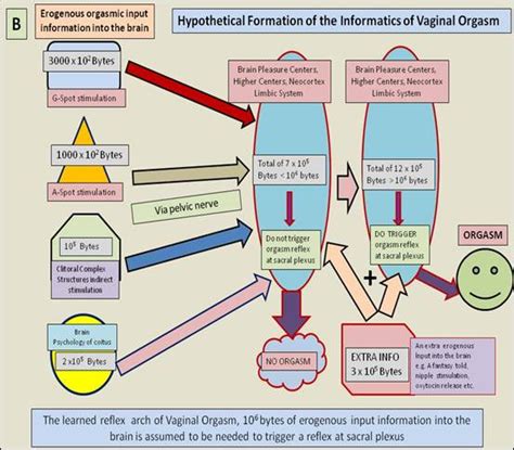 H Ümit Sayın Doors of Female Orgasmic Consciousness New Theories on the Peak Experience and