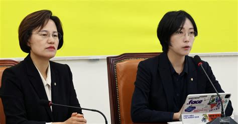 녹색정의당 채 상병 특검법·임신중지보완법 등···21대 국회 10대 과제 제시