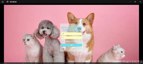 基于ssmvue基于技术的宠物交易平台的设计与实现开题报告源码论文 Csdn博客
