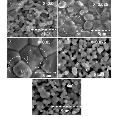 A Shows Sem Micrographs For X 0 0 B Shows Sem Micrographs For X