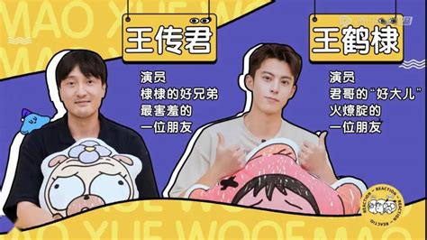 王传君、王鹤棣做客《毛雪汪》，海信新风空调喜迎“桃花坞”李雪琴节目气氛