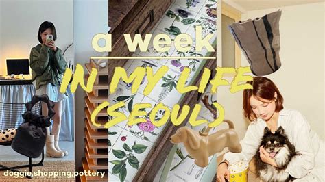 November In Seoul 바쁘다 바빠 현대사회 11월 우당탕탕 일상 브이로그 도자기ㅣ애견동반카페ㅣ백일촬영ㅣ작업실