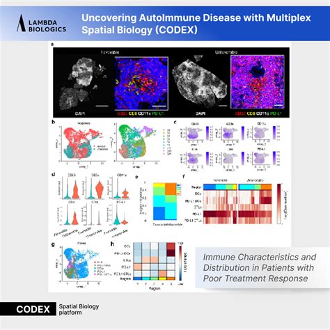 Lambda Biologics Leipzig