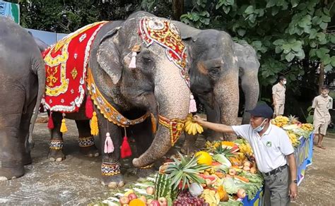 ဆင်မကြီးမိုမိုရဲ့ အသက် ၆၉ နှစ် ပြည့် အထိမ်းအမှတ်မွေးနေ့ပွဲကျင်းပမယ် Myanmarload