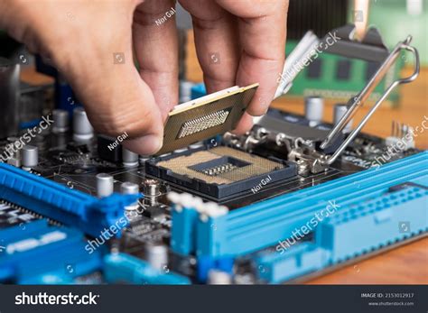 Technician Installing Cpu Socket Lga Stock Photo Shutterstock