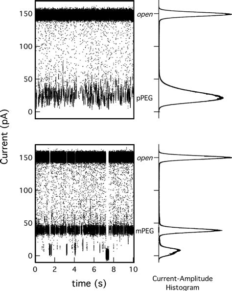 A Single Nanopore Discriminates Between Polymers With Different Download Scientific Diagram