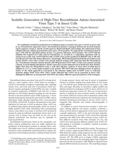 Pdf Scalable Generation Of High Titer Recombinant Adeno Associated Virus Type 5 In Insect Cells