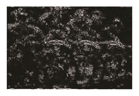 The Magnitude Maps Of The Log Gabor Filter Responses Of An Enhanced Download Scientific Diagram